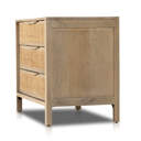 Birch Lane™ Nellie 3 - Drawer Cane Chest & Reviews | Birch Lane