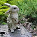 Design Toscano Hopper, the Bunny, Standing Garden Rabbit Statue ...