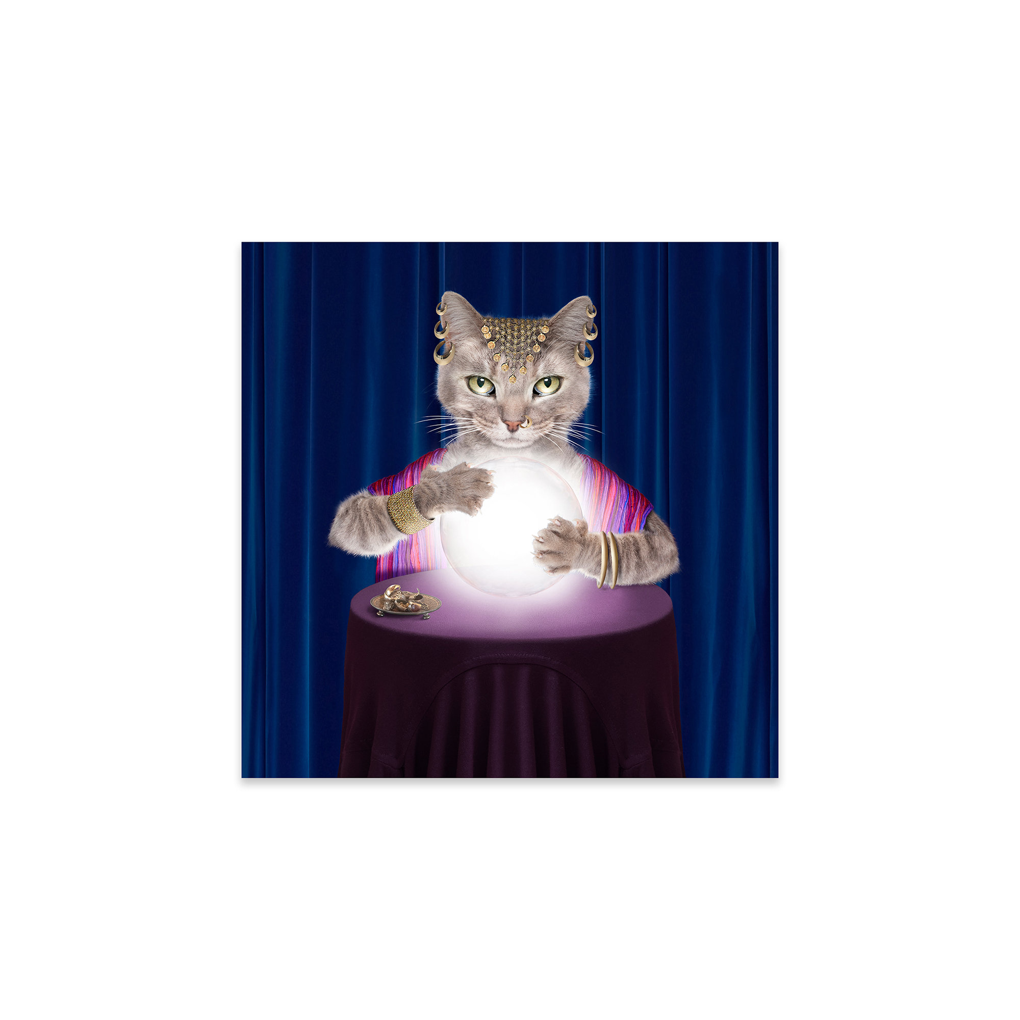 Trinx Fortune-Telling Cat by Lund Roeser | Wayfair