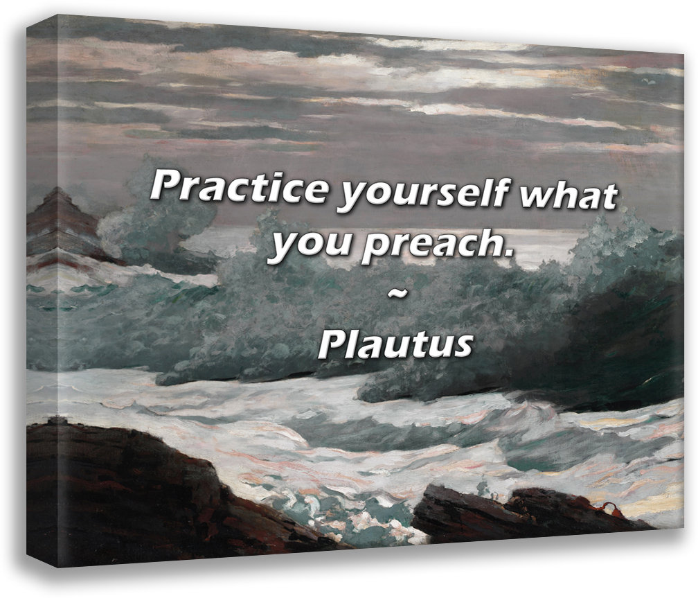Trinx Plautus Quote: Practice yourself what you preach. | Wayfair