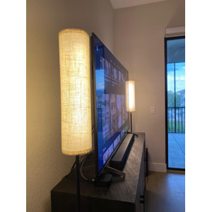 Latitude Run® 4 Color Temperature Modern LED Standing Lamp,Stepless ...