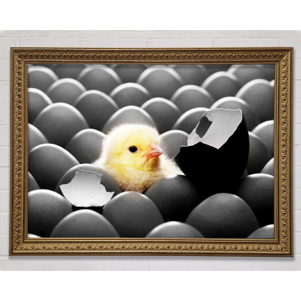August Grove Chick Hatching - Single Picture Frame Print | Wayfair.co.uk