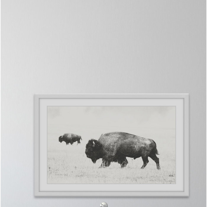 Union Rustic Buffalo Pair Framed On Paper Photograph & Reviews | Wayfair