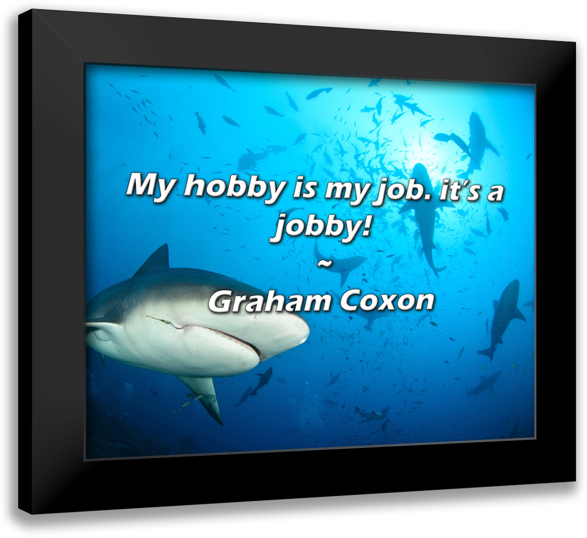 Latitude Run® Graham Coxon Quote: My hobby is my job. it’s a jobby ...