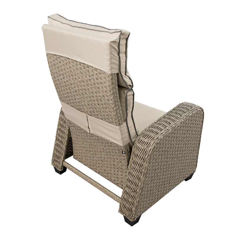 Winston Porter Rex Metal Outdoor Wing Chair Recliner Lounge Chair | Wayfair