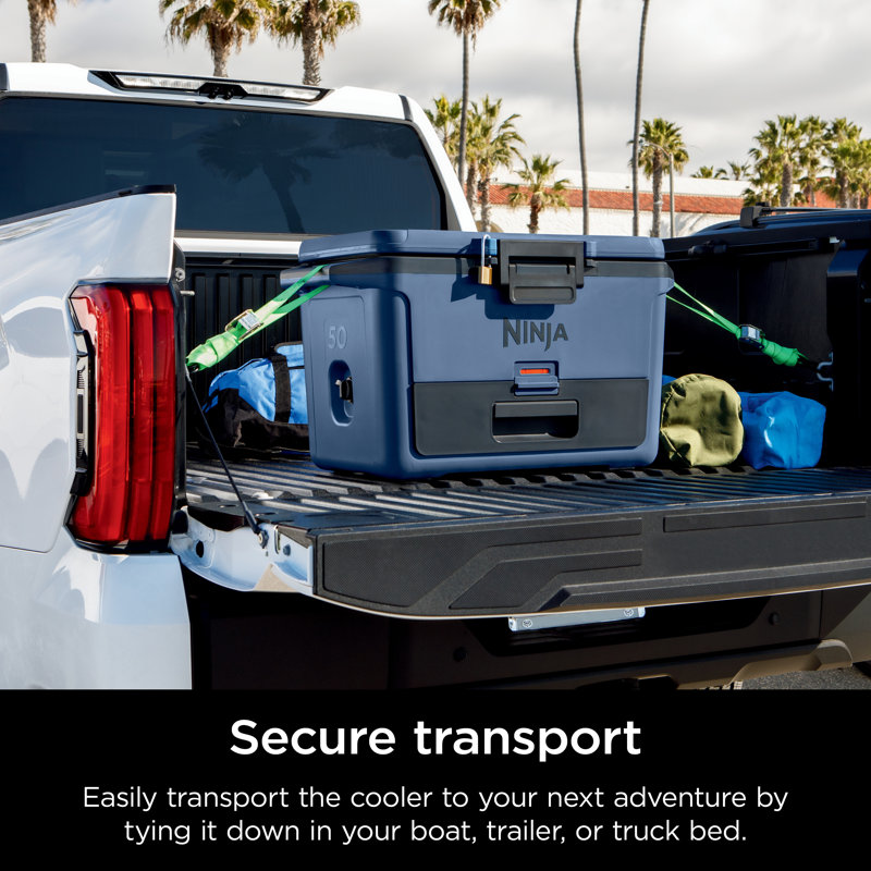 Ninja Frostvault 50qt Hard Cooler With Dry Zone & Reviews | Wayfair