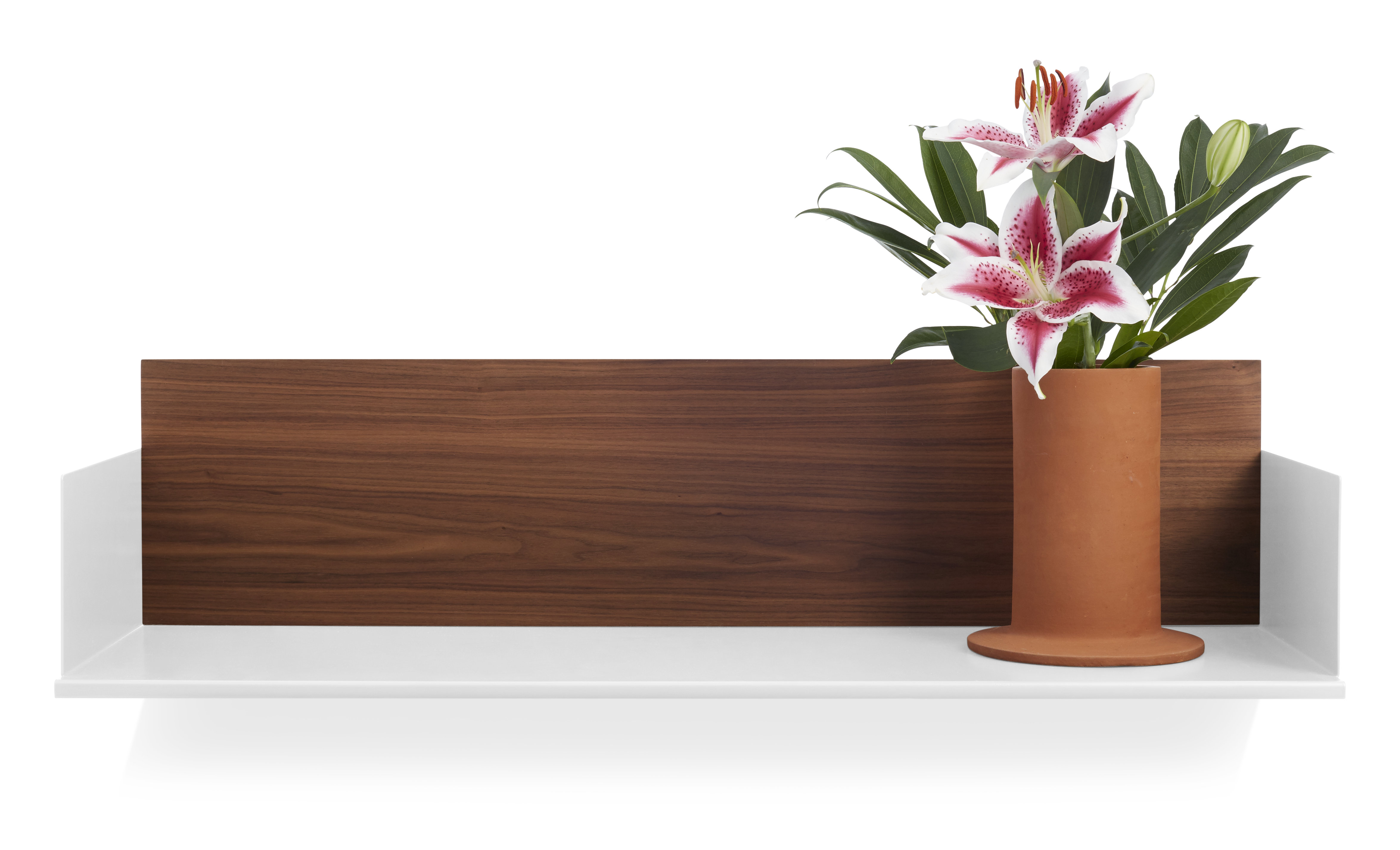 Blu Dot Wonder Accent Shelf & Reviews | Wayfair