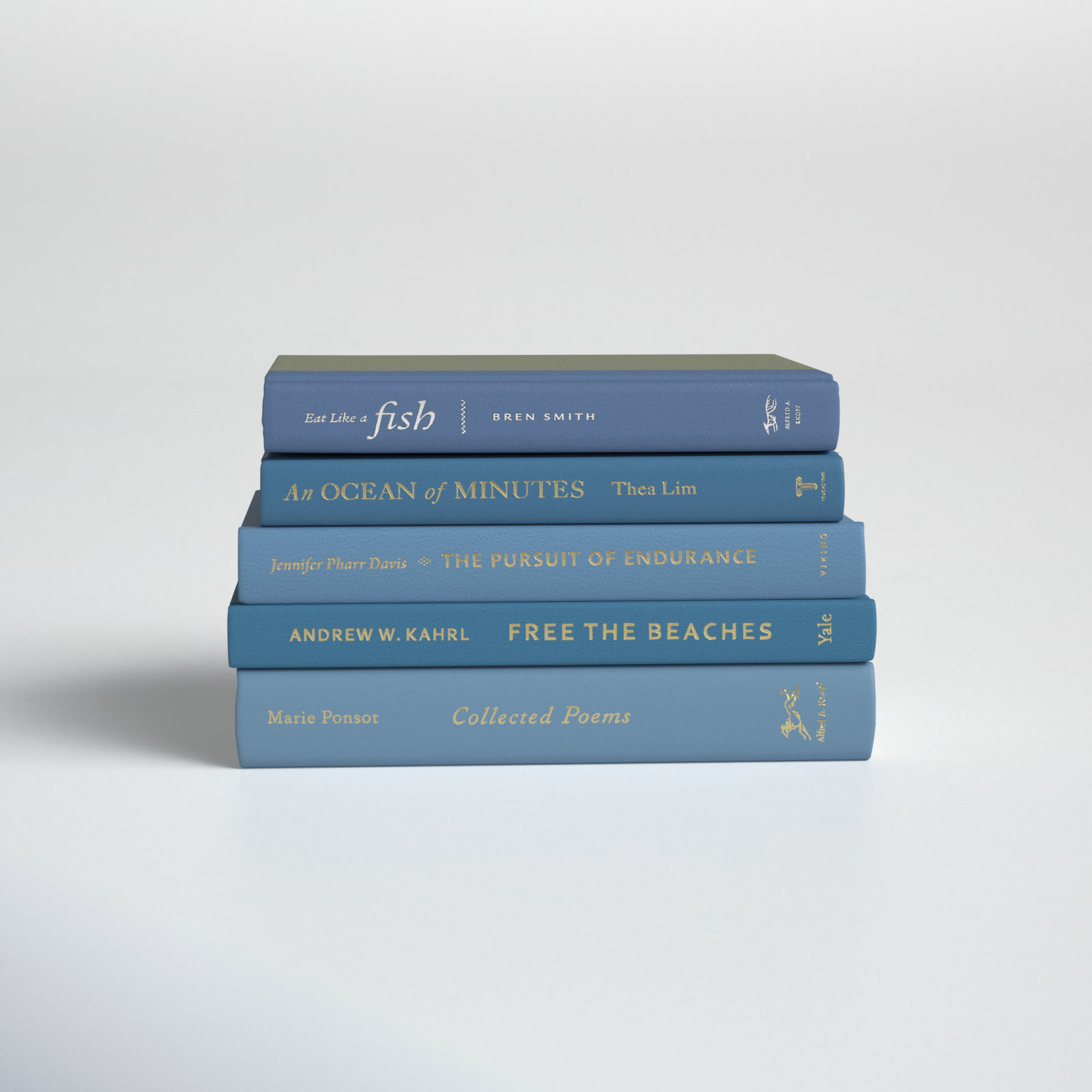 Birch Lane™ Bingham Modern 5 Piece Decorative Book & Reviews | Wayfair