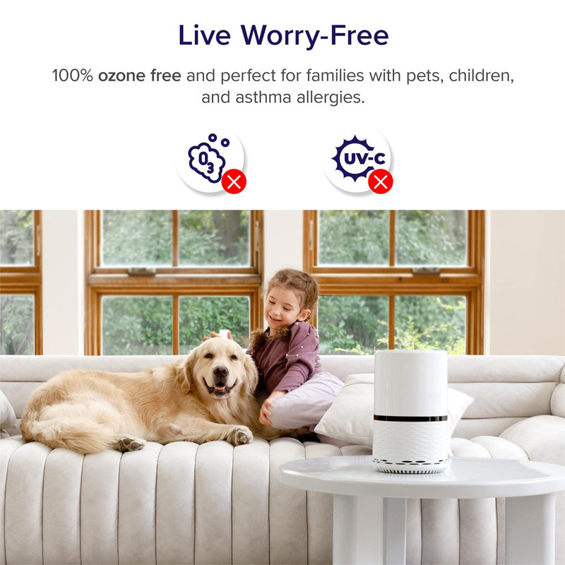 ColorLife Air Purifier with HEPA Filter | Wayfair