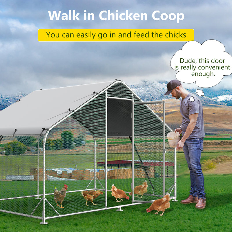 Tucker Murphy Pet™ Danasha 60.14 Square Feet Chicken Run | Wayfair