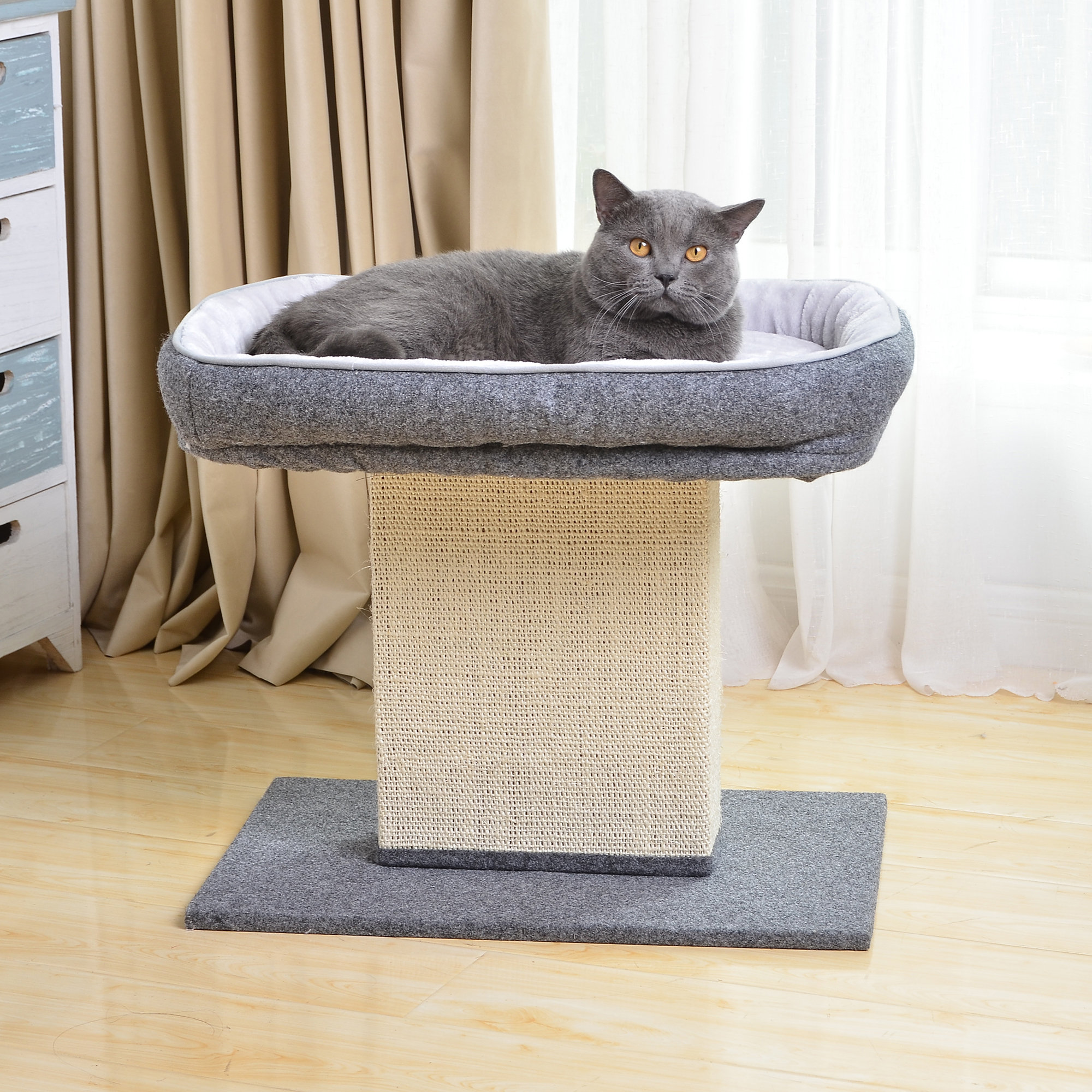 Catry 19" Cat Perch with Scratching Post & Reviews | Wayfair