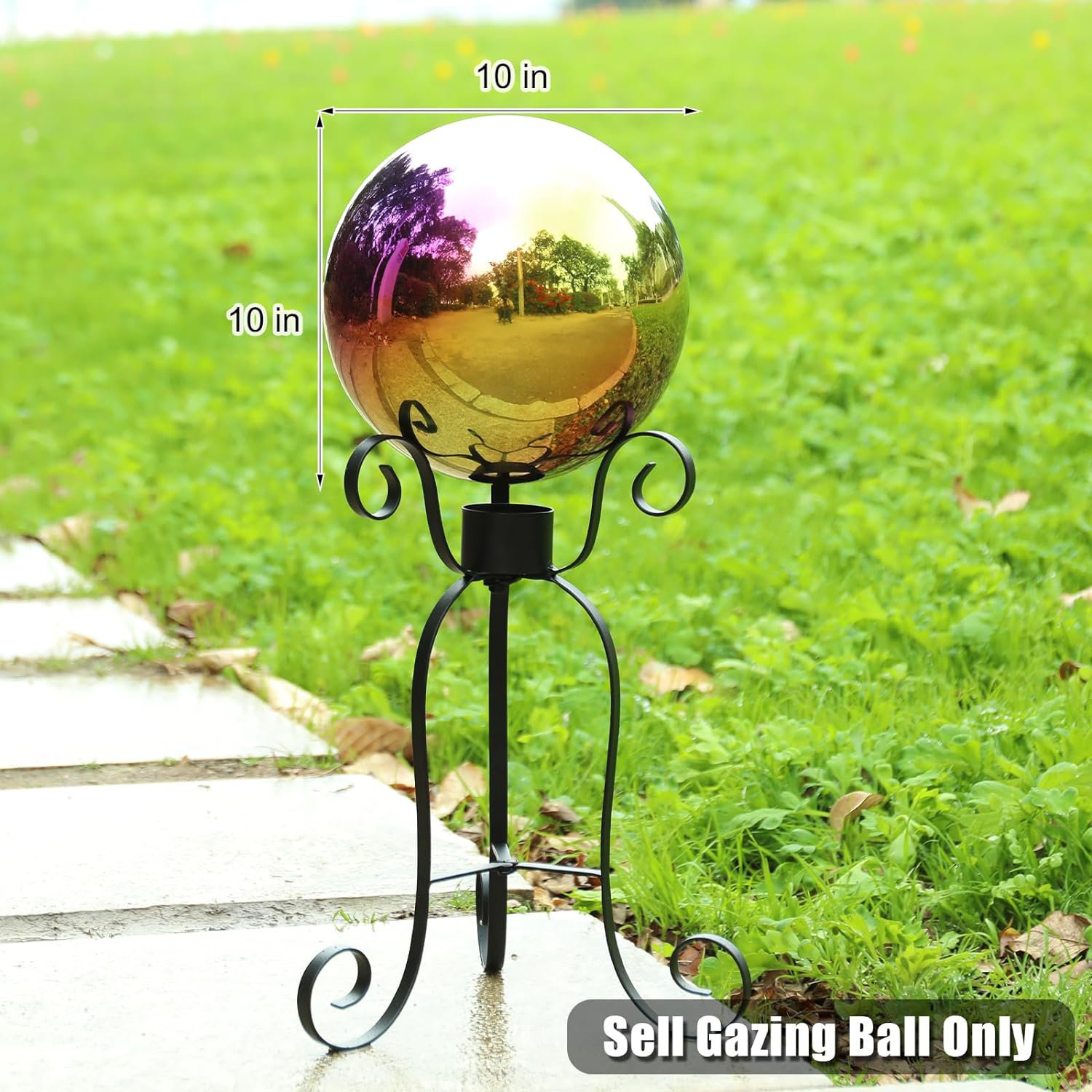 Arlmont & Co. Gazing Ball, Stainless Steel Mirror Ball Reflective ...