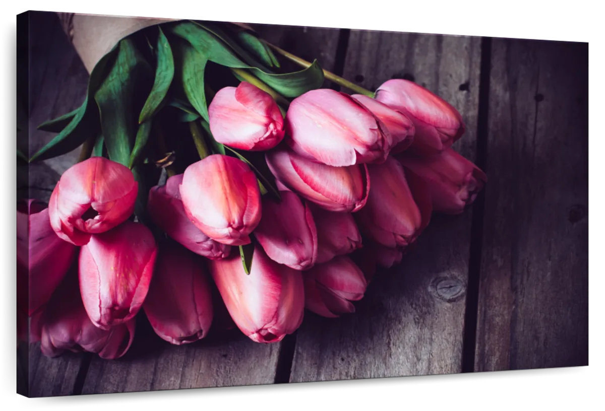 Elephant Stock Fancy Pink Tulips | Wayfair