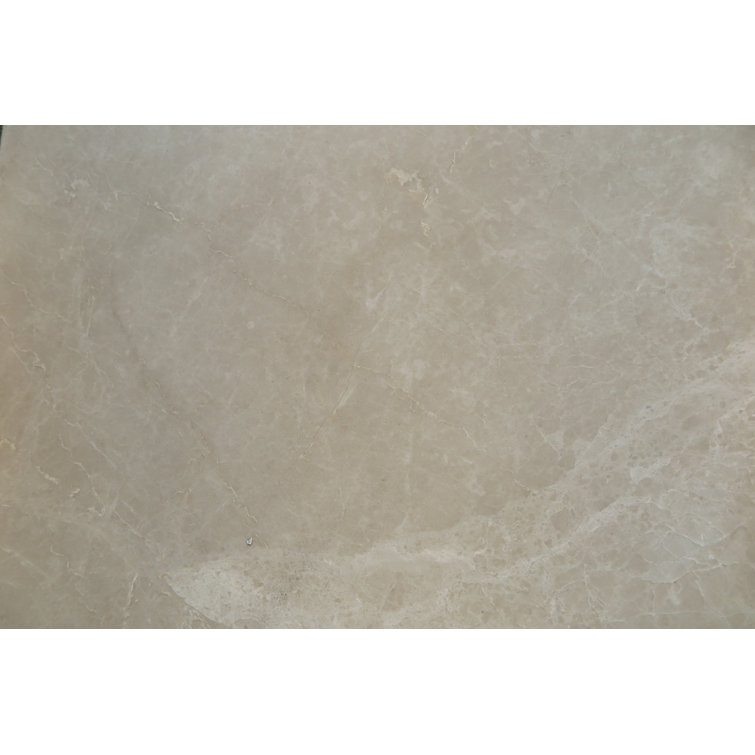 Stone & Tile Shoppe, Inc. 24" x 24" Marble Wall & Floor Tile | Wayfair
