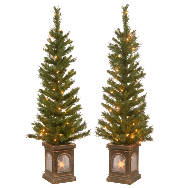 The Holiday Aisle® 4ft. Lehigh Valley Pine Entrance Tree Set with Clear ...
