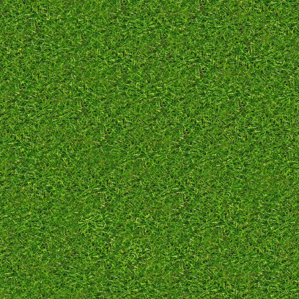 Union Rustic Grass Texture by Nsa Digital Archive | Wayfair