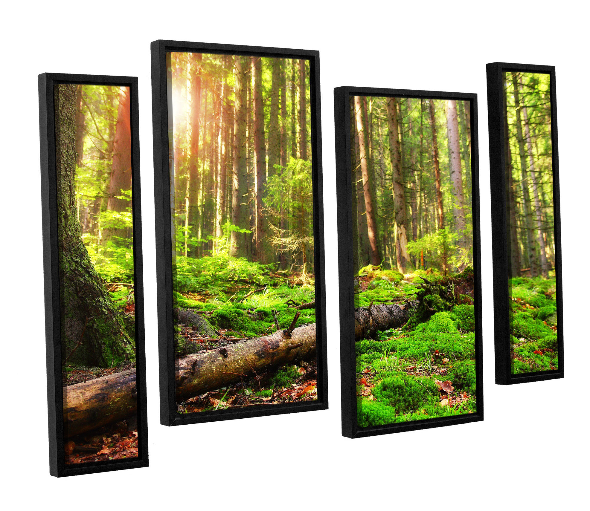 ArtWall 'Back to Green' by Dragos Dumitrascu 4 Piece Framed ...