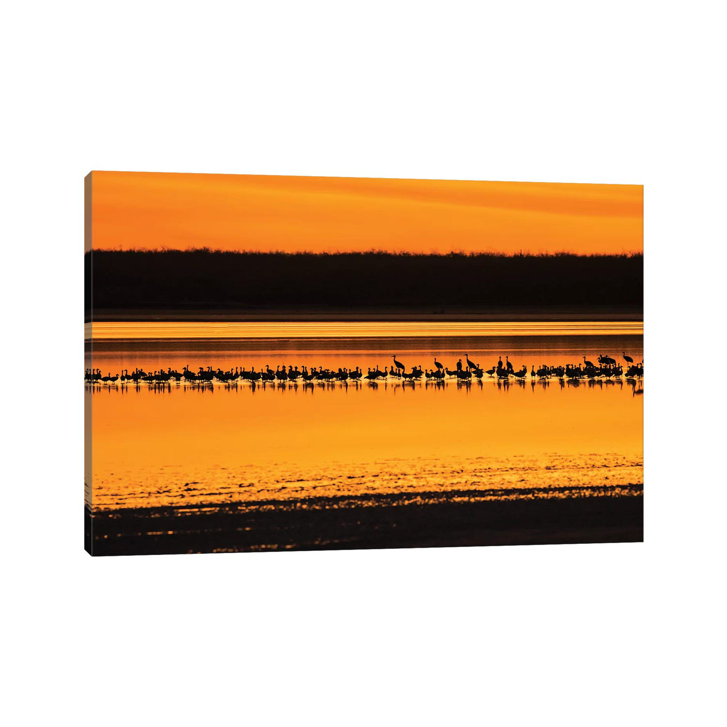 House of Hampton Snow Geese And Sandhill Cranes At The Roost | Wayfair ...