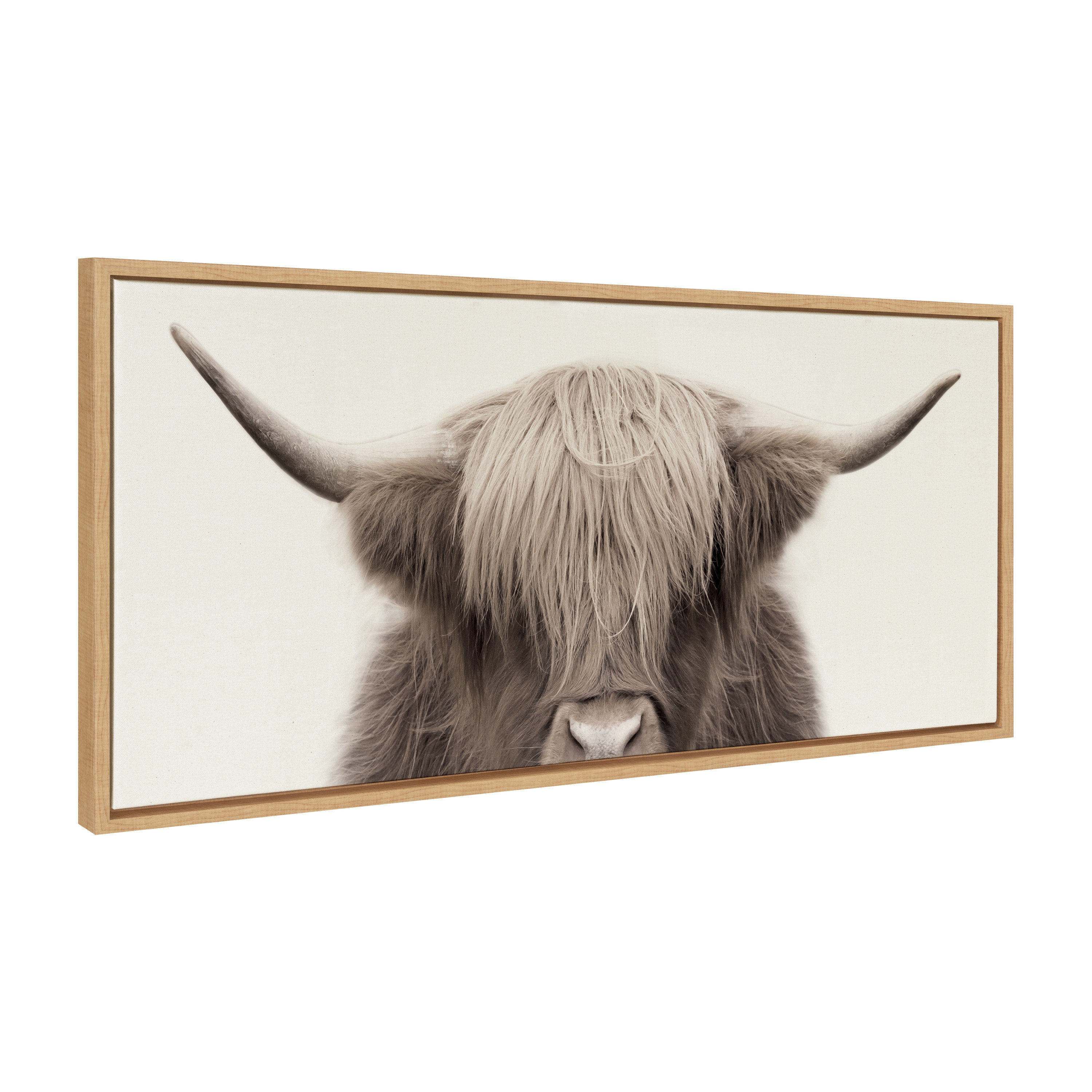 Lark Manor™ Hey Dude Highland Cow Color by The Creative Bunch Studio ...