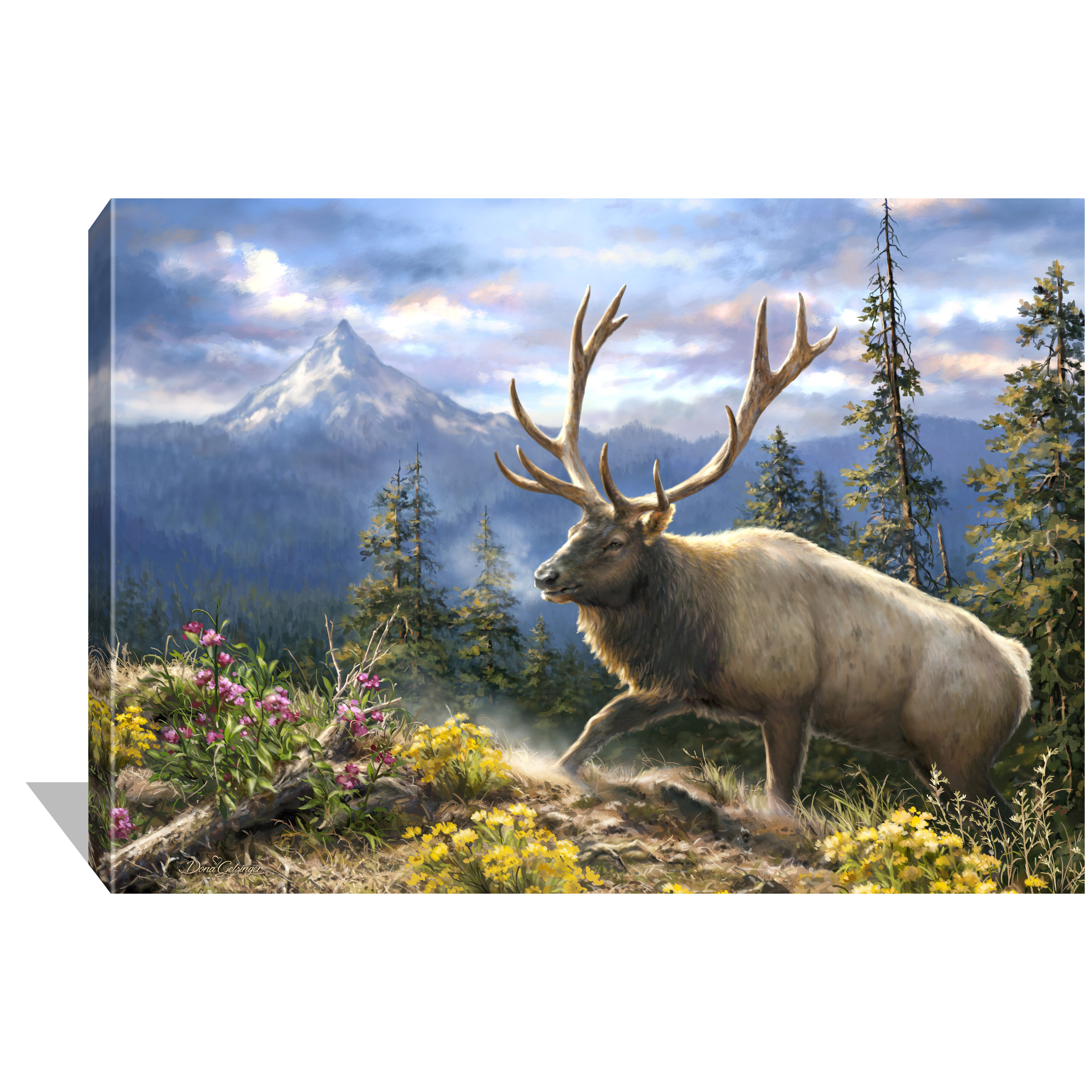 Millwood Pines Siskiyou Bluff Canvas Wall Art | Wayfair