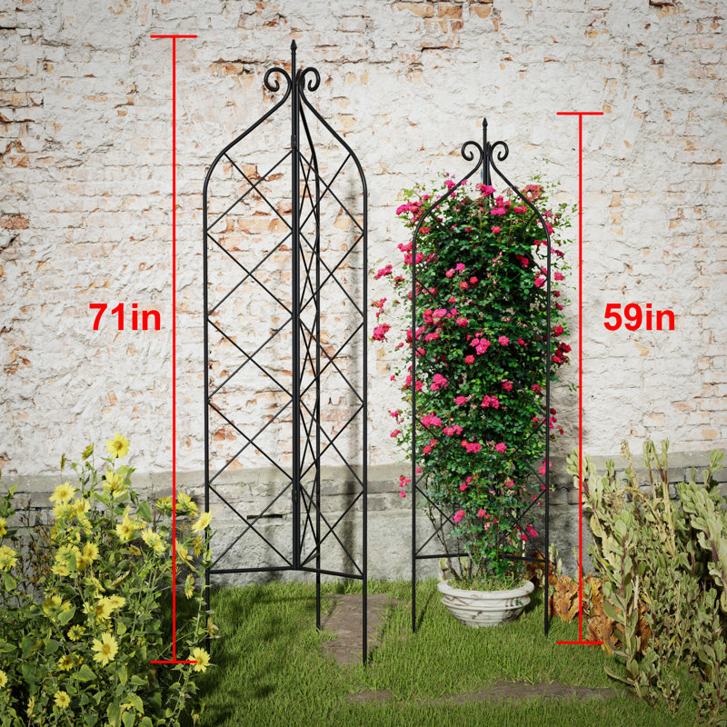 Winston Porter Roseville 18'' W Garden Metal Obelisk Trellis for ...