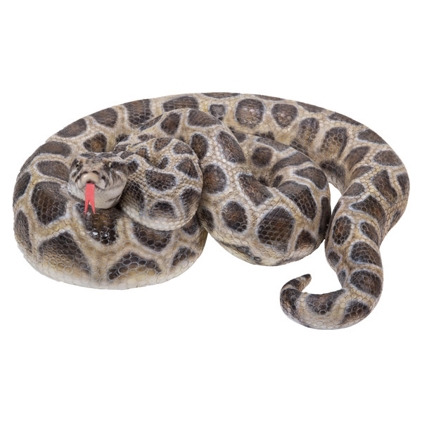 Hi-Line Gift Ltd. CURLED UP PYTHON STATUE | Wayfair