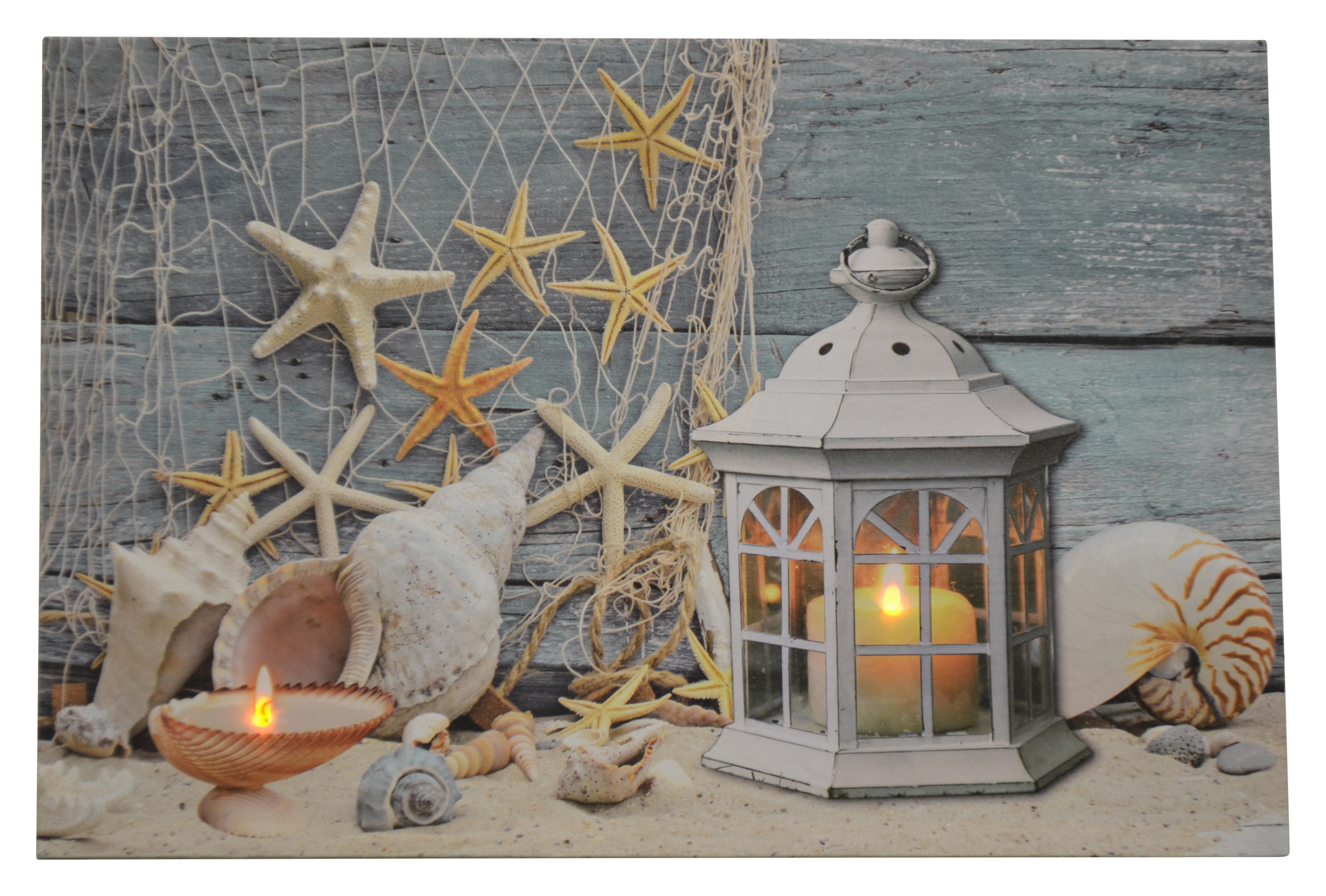 Three Star Im/Ex Inc. Starfish and Seashell LED Enhanced Canvas Print ...