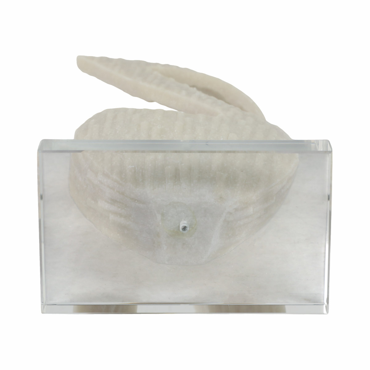 Sagebrook Home 19" Mortsel Quartz Resin Statuary | Perigold
