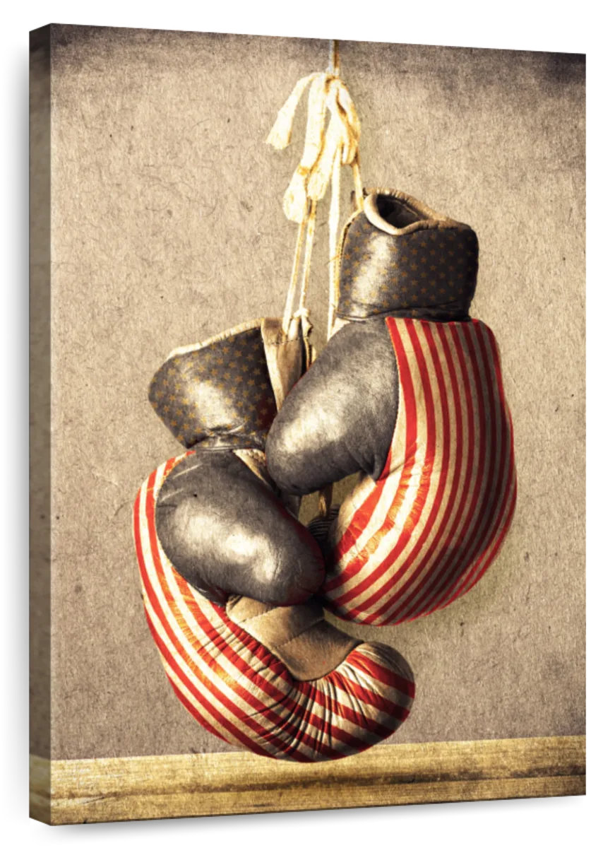 Winston Porter Patriotic Boxing Gloves | Wayfair