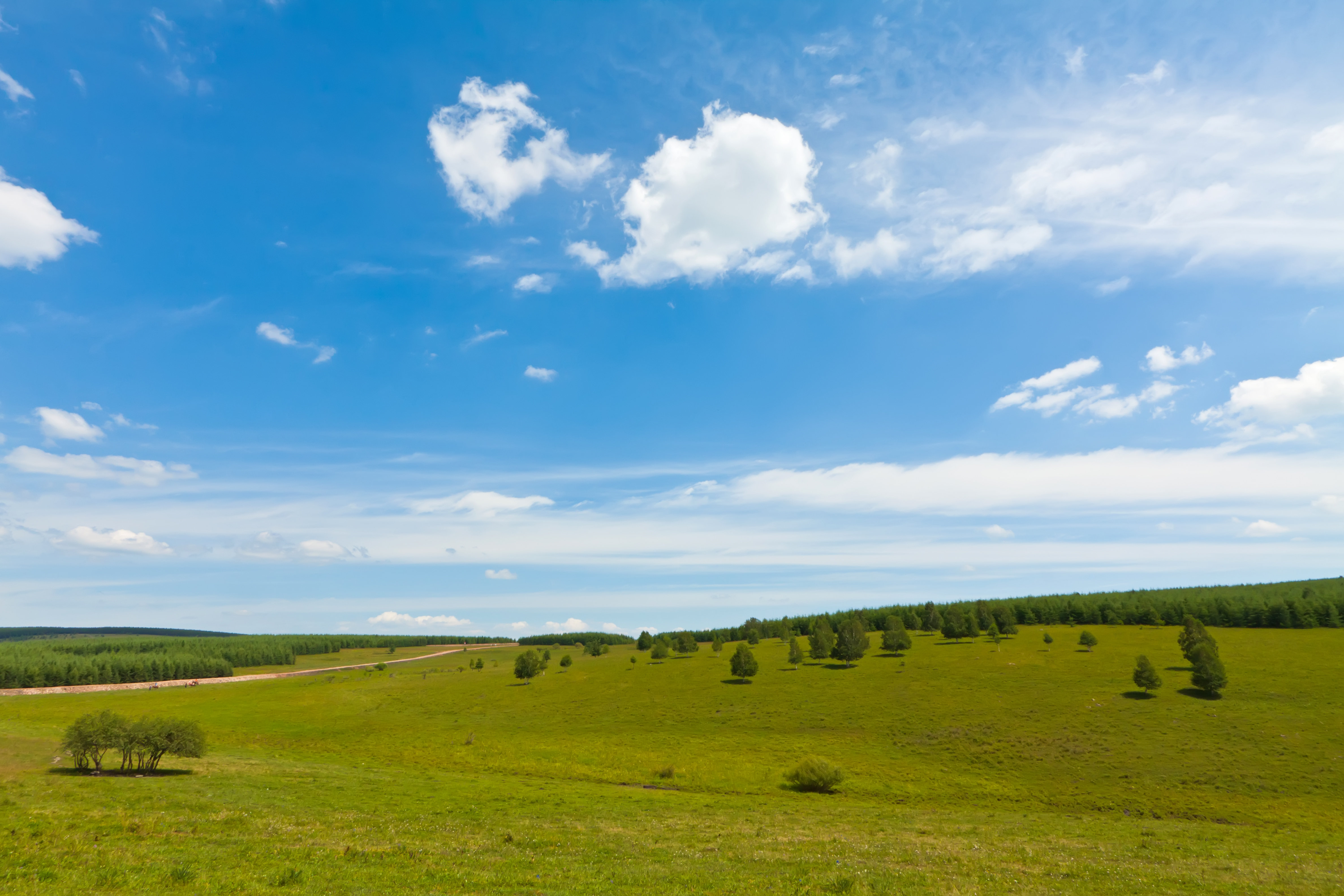 Ebern Designs Grassland Landscape - Wayfair Canada