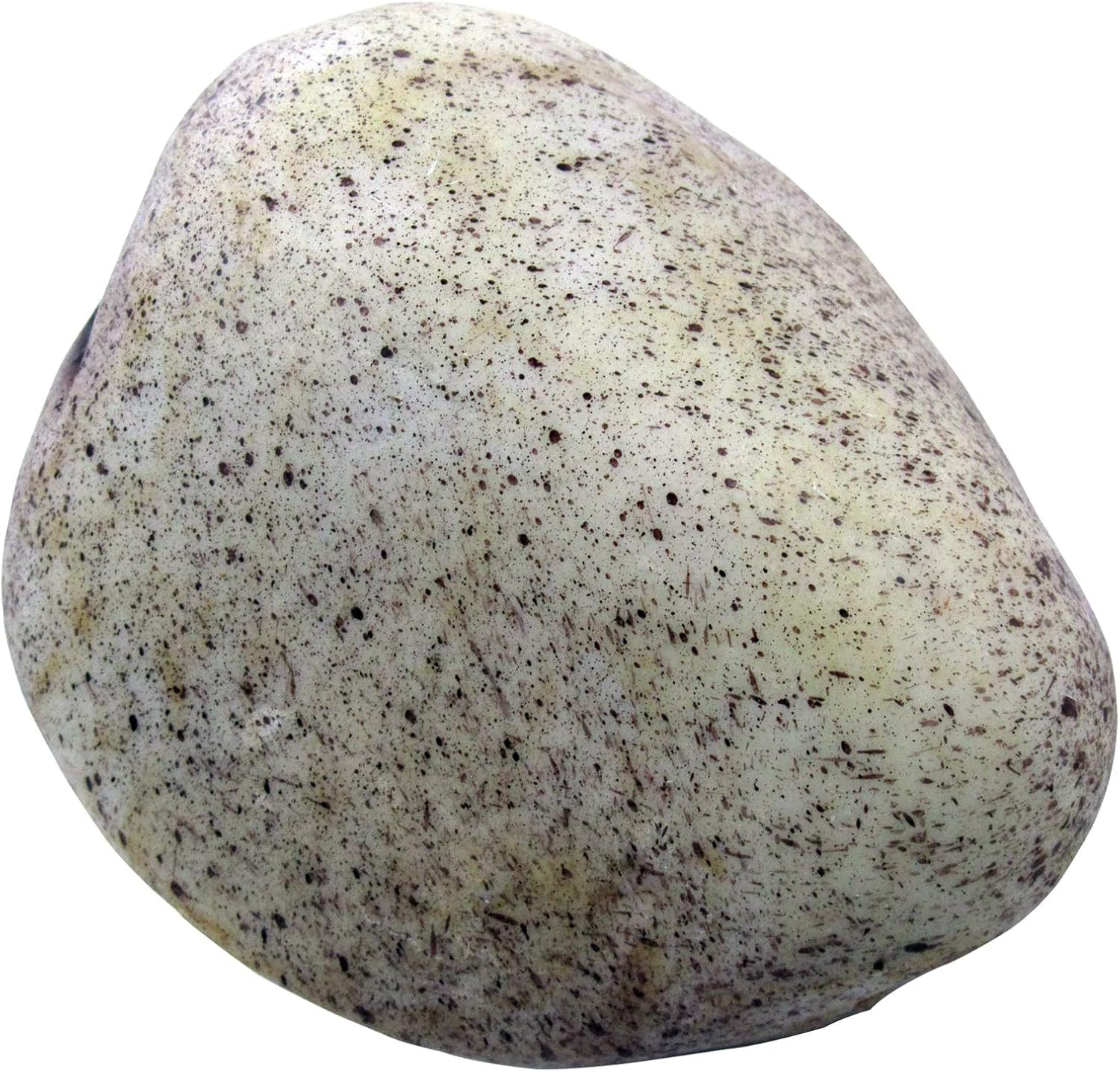 Arlmont & Co. Fake Rock Key Hider Decoration | Wayfair