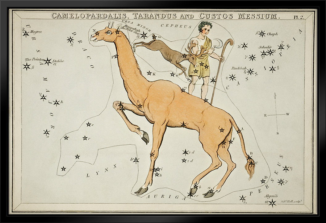 ATX Art Group LLC Astronomical Chart Illustration Of The Camelopardalis ...