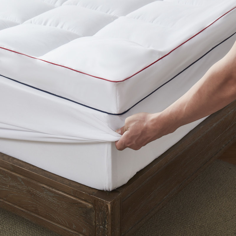 Alwyn Home Fronie Extra Thick Mattress Topper, 8-21 Inch Mattress, Soft ...