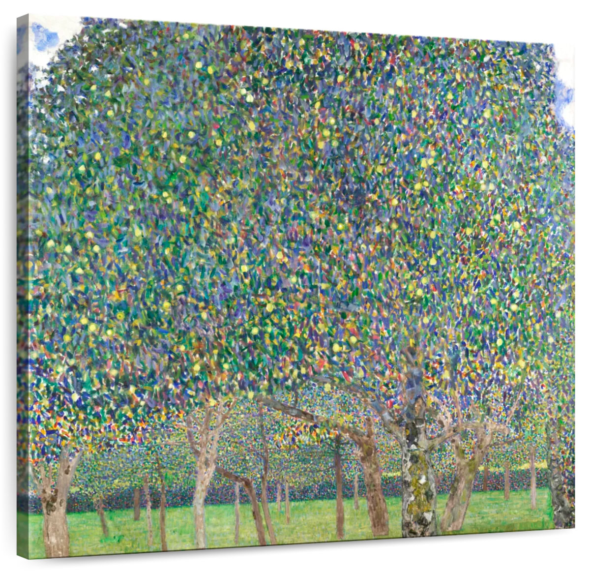 Lark Manor™ Harnek Pear Tree 1903 | Wayfair
