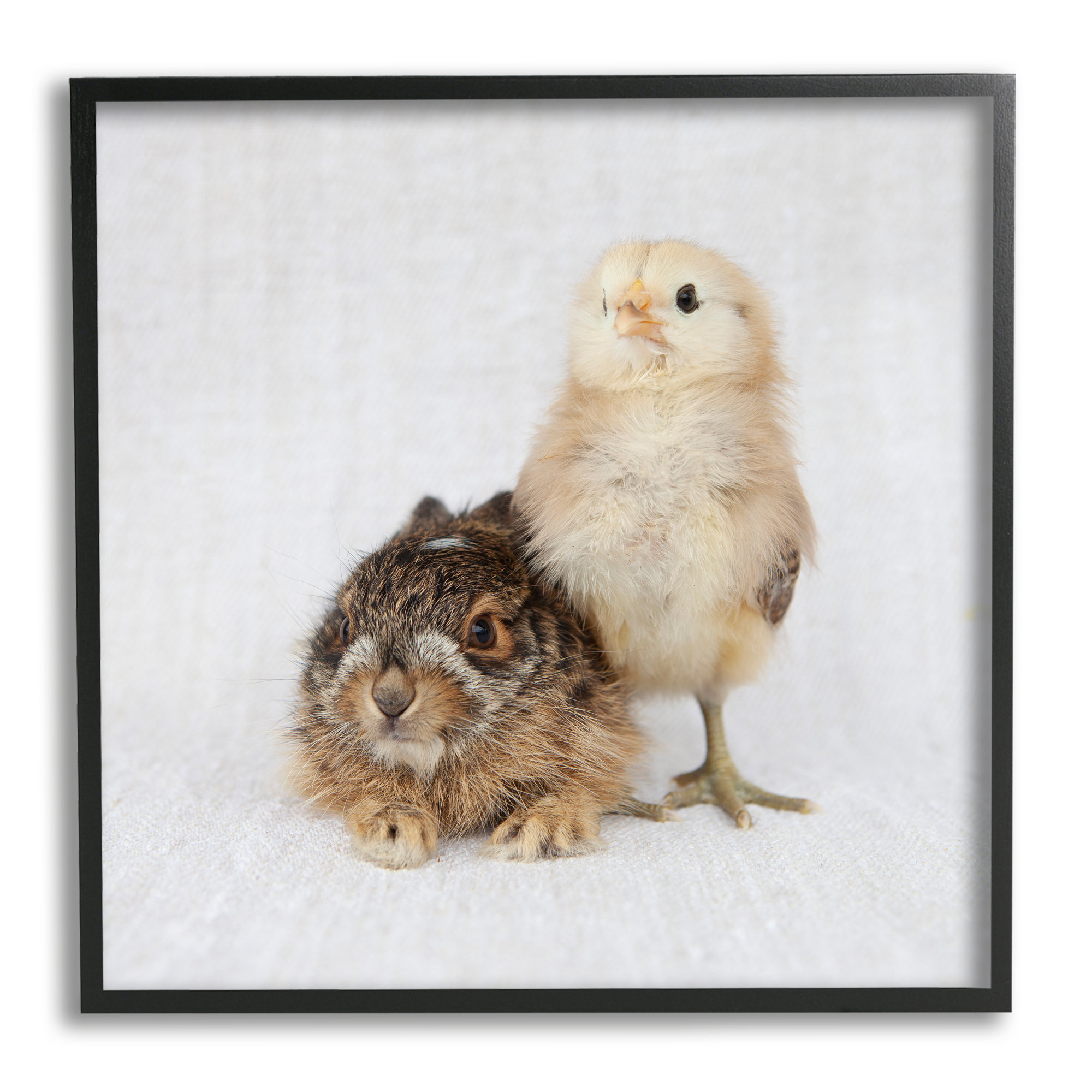 Stupell Industries Baby Animals Chick Bunny Duo Portrait Photography ...