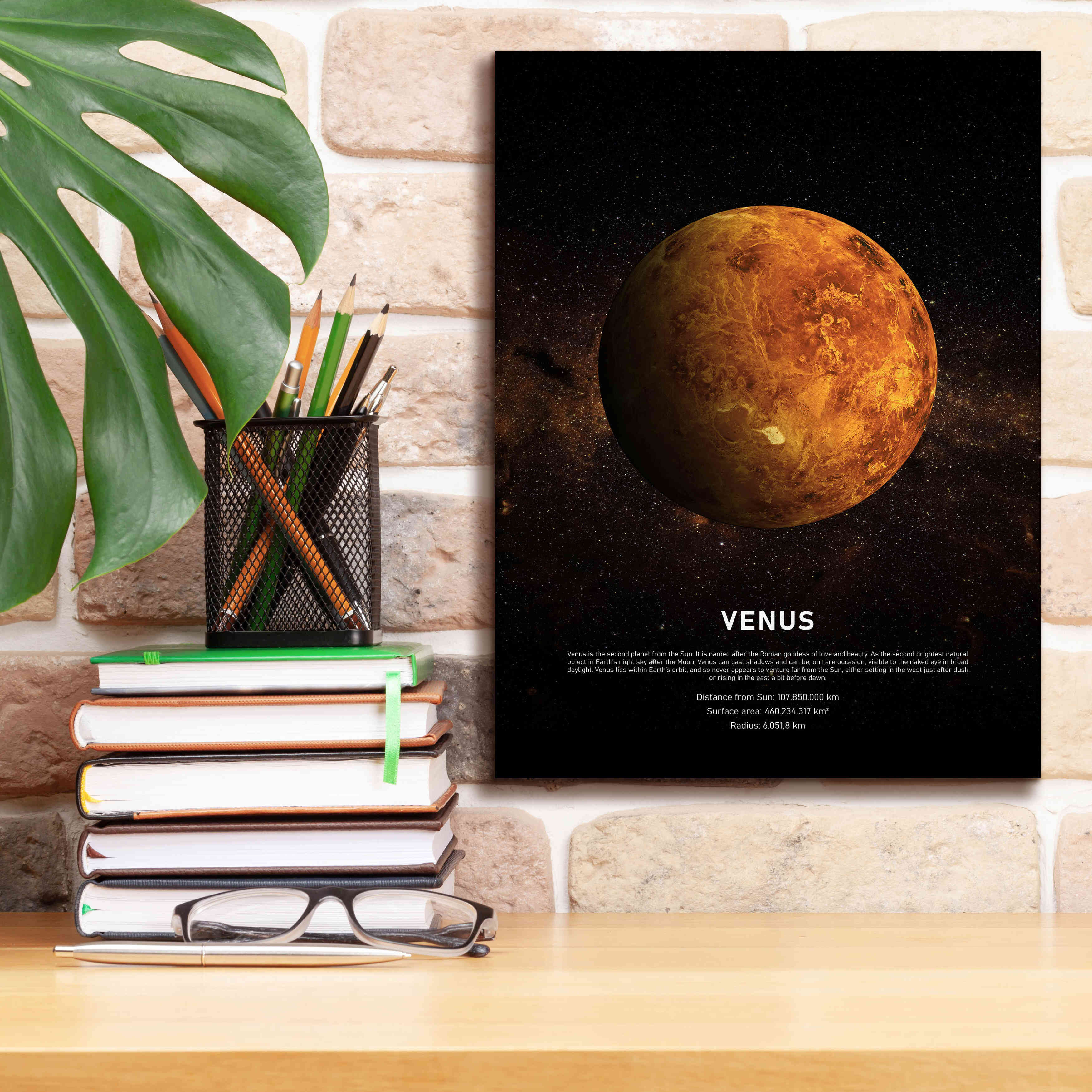 Ebern Designs " Venus " by Design Fabrikken | Wayfair