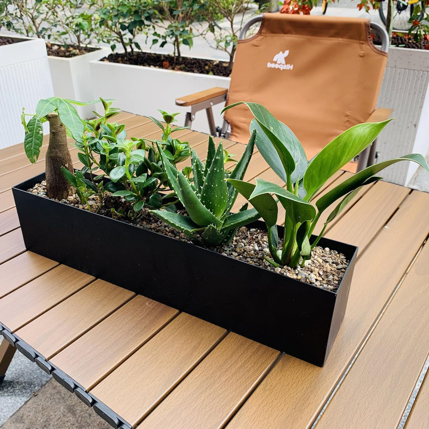 Ebern Designs Rosemonde Planter - Wayfair Canada