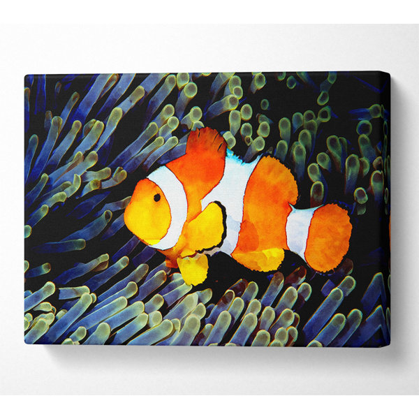 House of Hampton Clown Fish - Print | Wayfair.co.uk