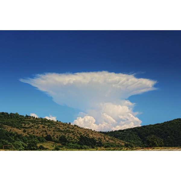 Millwood Pines Anvil Storm Cloud - Wayfair Canada