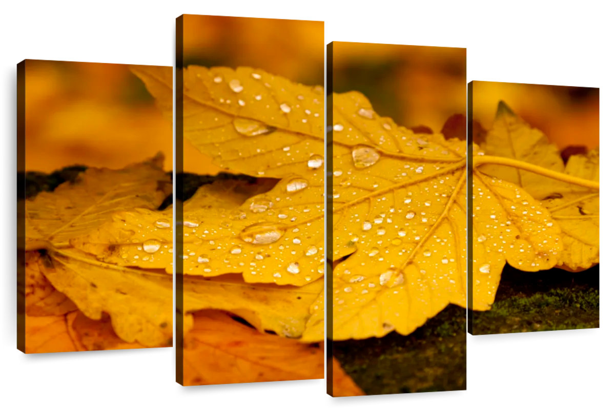 Lark Manor Harnek Autumn Water Droplets - Wayfair Canada