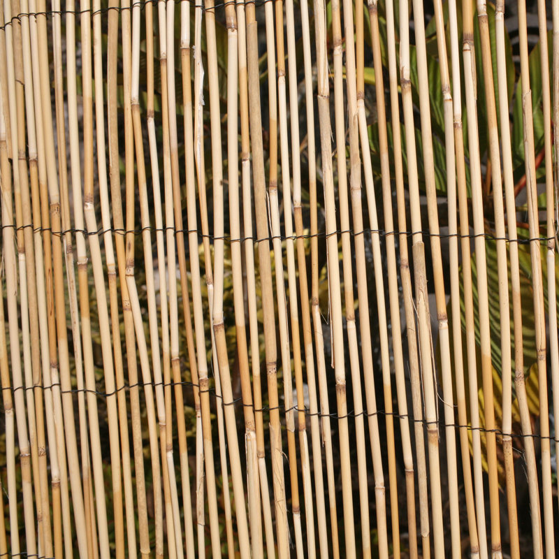 Backyard X-Scapes 6 ft H x 16 ft W Natural Reed Fence Decorative Garden ...