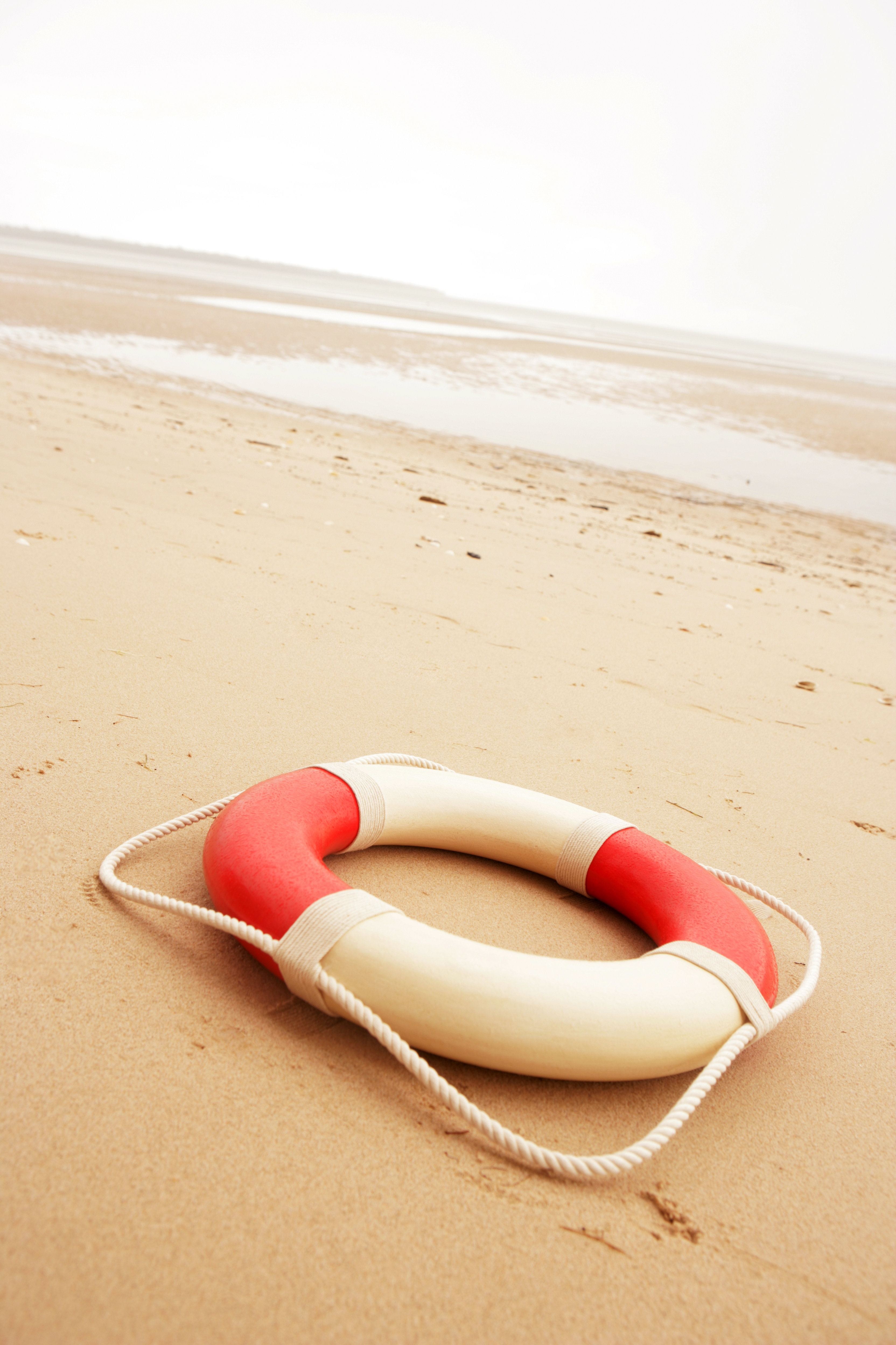 Beachcrest Home Life Preserver by Hidesy - Wayfair Canada