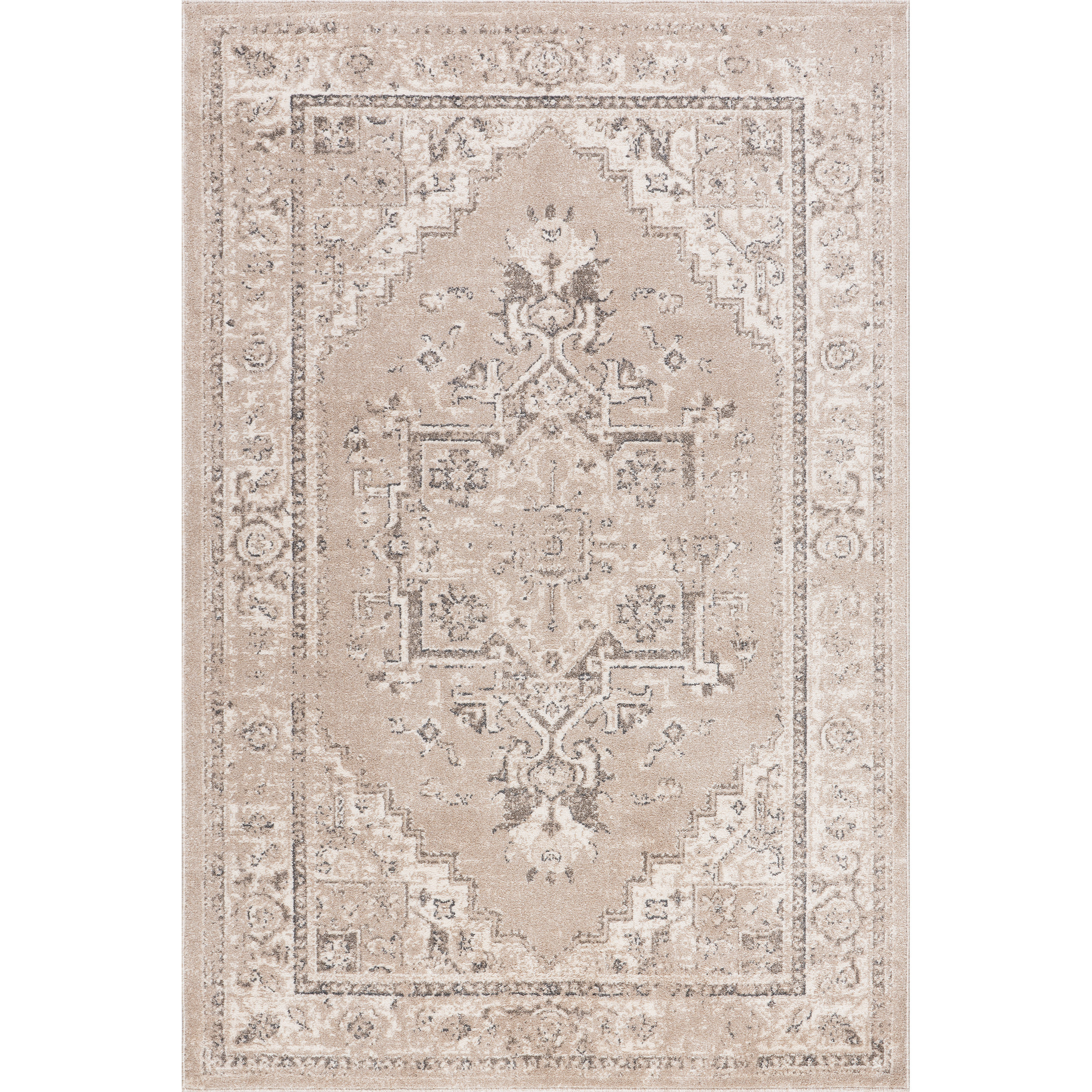 Canora Grey Gena Distressed Transitional Medallion Area Rug | Wayfair