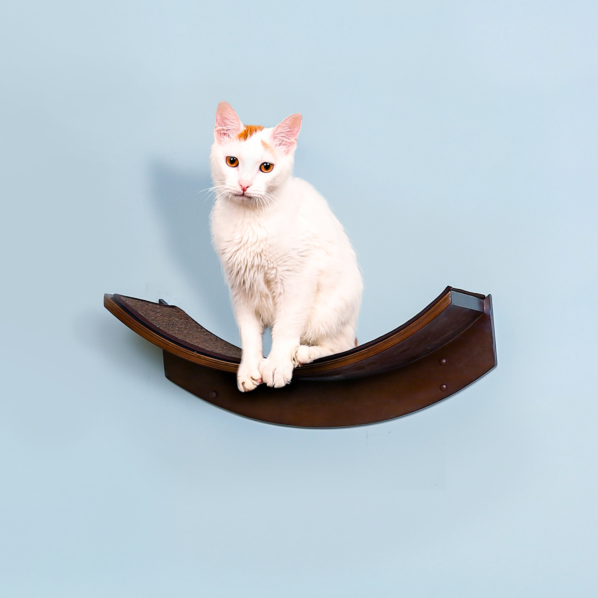 The Refined Feline Lotus Leaf Cat Perch & Reviews | Wayfair