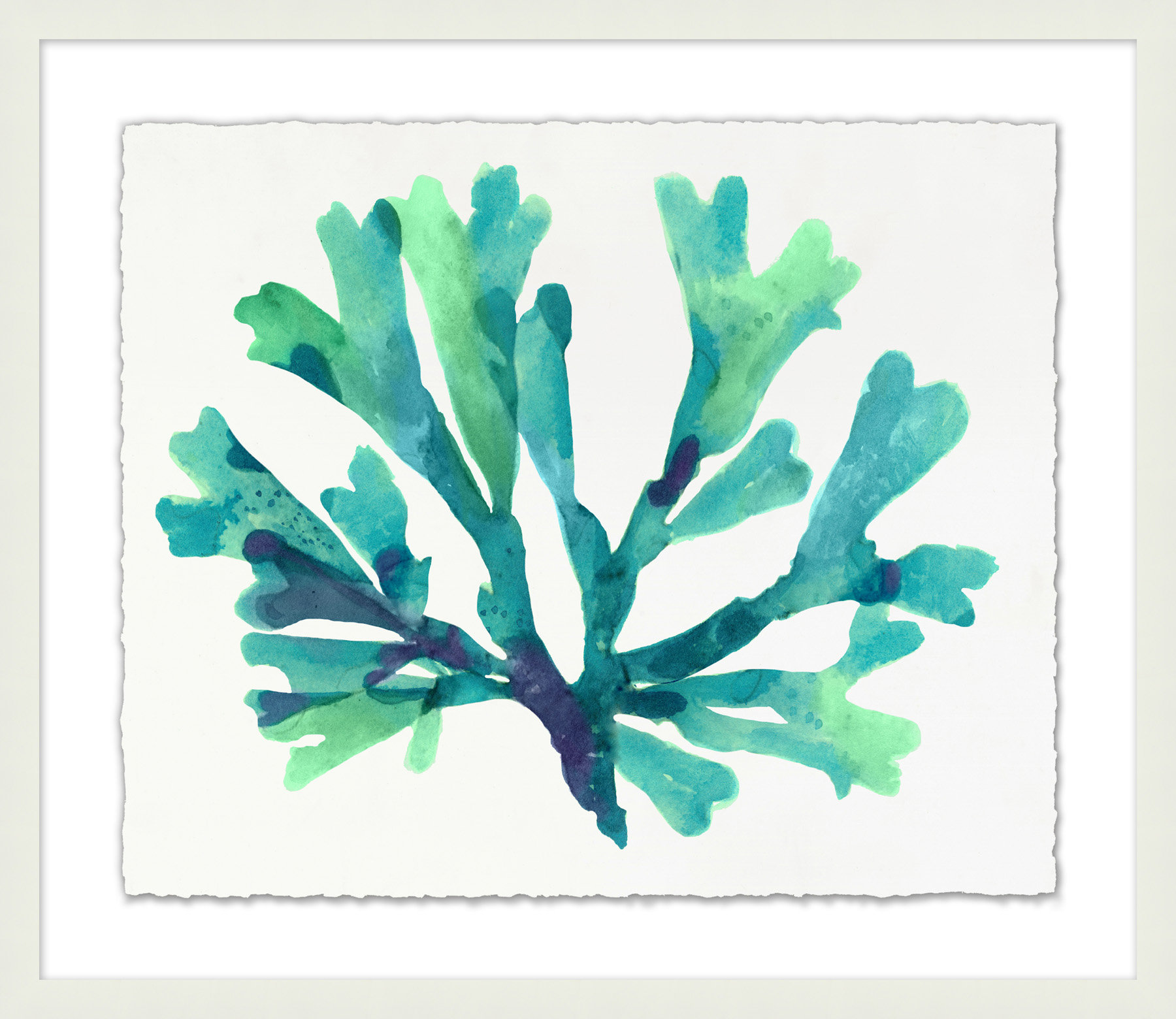 Wendover Art Group Transparaent Sea Life 3 - Painting On Paper ...