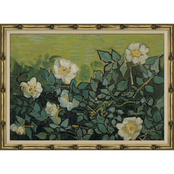 Soicher-Marin Wild Roses by Vincent Van Gogh - Single Picture Frame ...