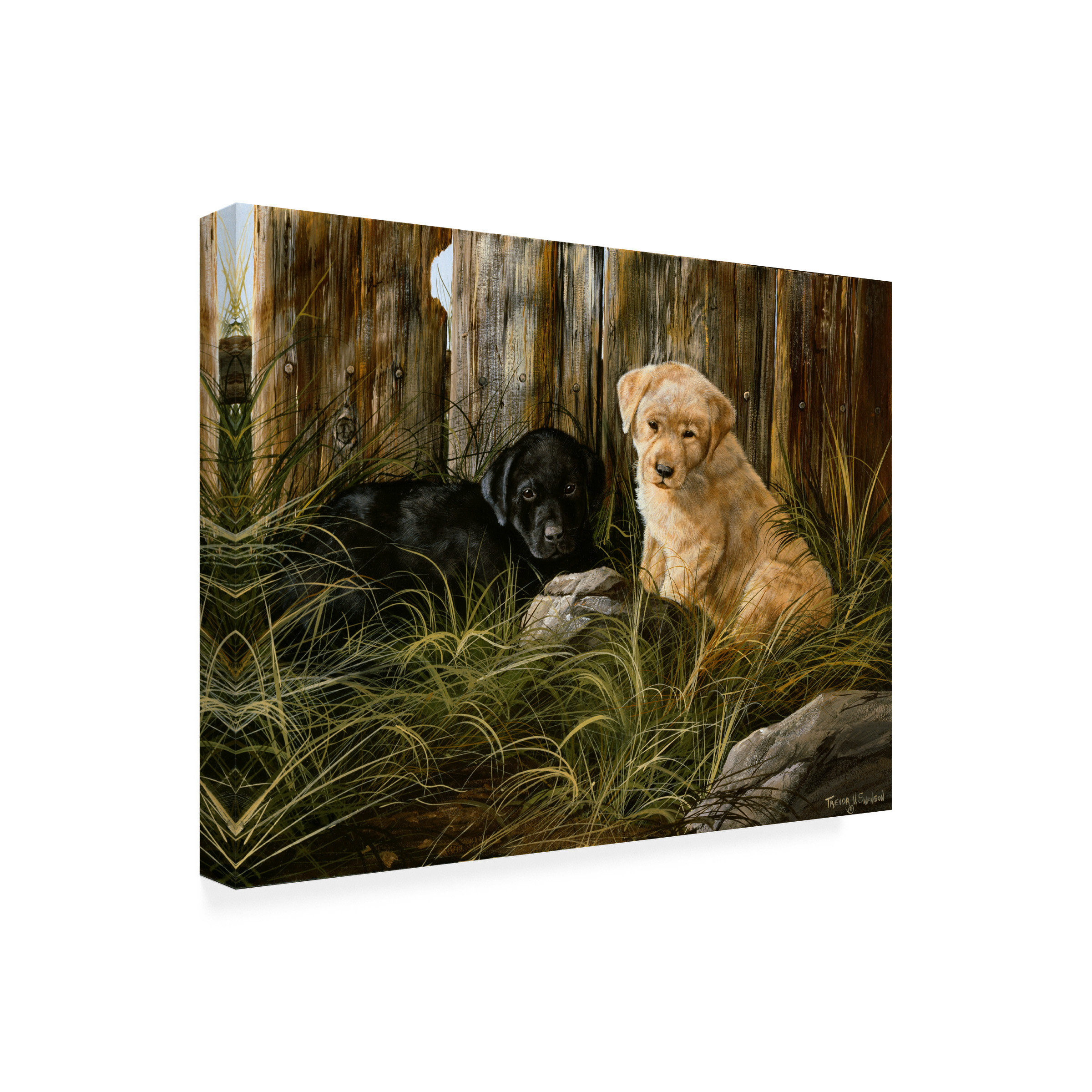 Winston Porter Lab Pup Pair On Canvas by Trevor V. Swanson Canvas Art ...