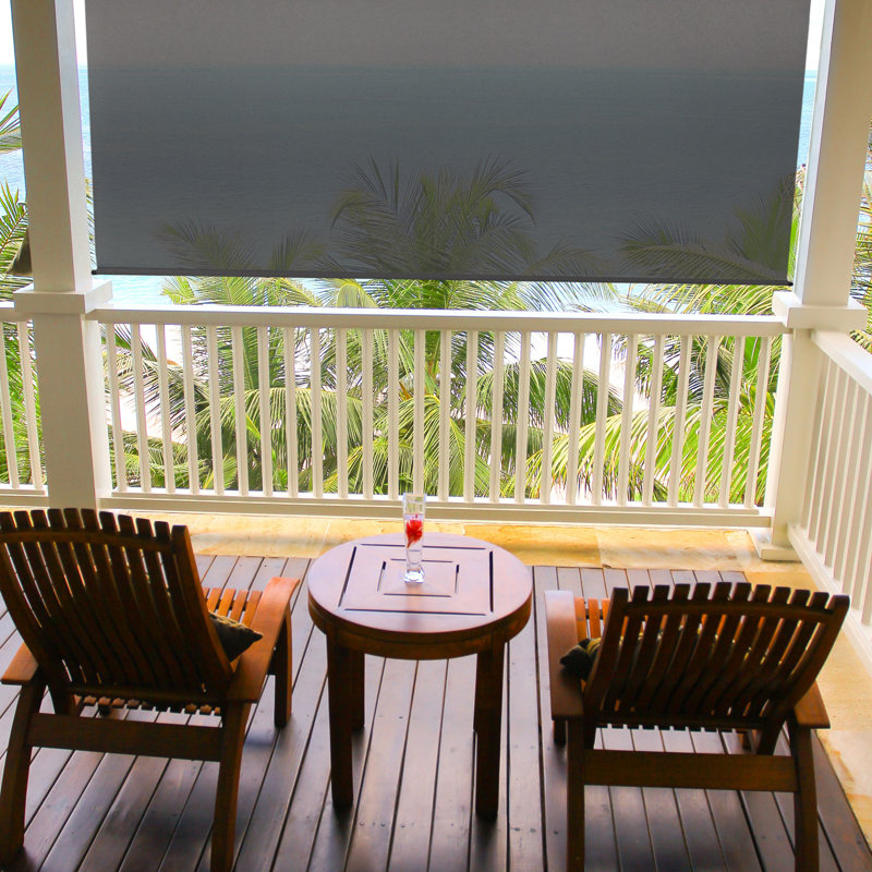 Symple Stuff Sharice Semi-Sheer Outdoor Roller Shade & Reviews | Wayfair