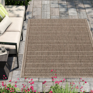 5' x 8' Brown & Tan Outdoor Rugs You'll Love | Wayfair