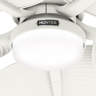 Hunter Fan Hunter 52 inch Tropic View Damp Rated Ceiling Fan with ...